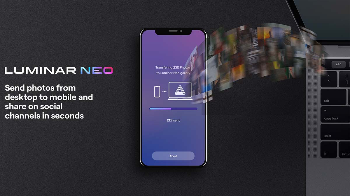 Luminar Shareの使い方｜デスクトップ・モバイル写真共有アプリ - E-M-Wonderful